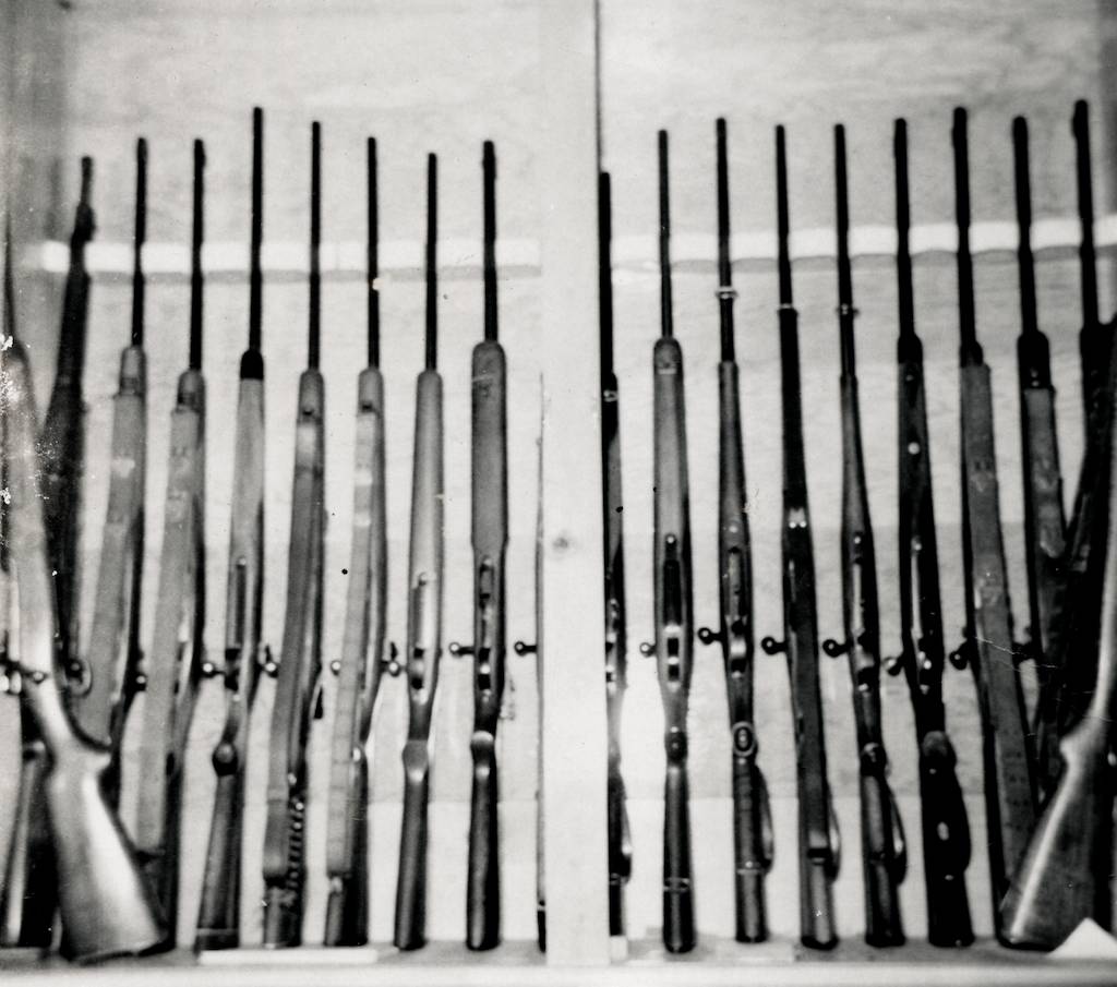 Albert's Guns